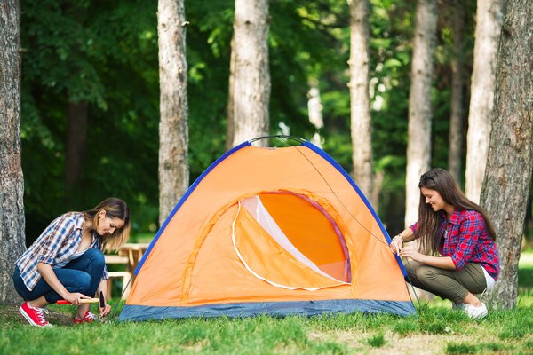 Put up in Spanish | English to Spanish Translation - SpanishDictionary.com