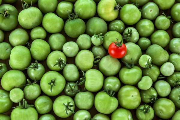 Diferentes | Spanish to English Translation - SpanishDictionary.com