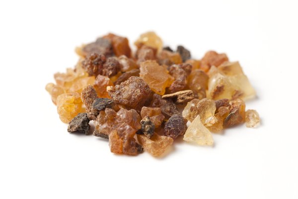 Mirra | Spanish to English Translation - SpanishDictionary.com