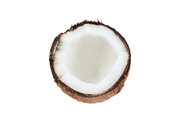 Coco | Spanish to English Translation - SpanishDictionary.com