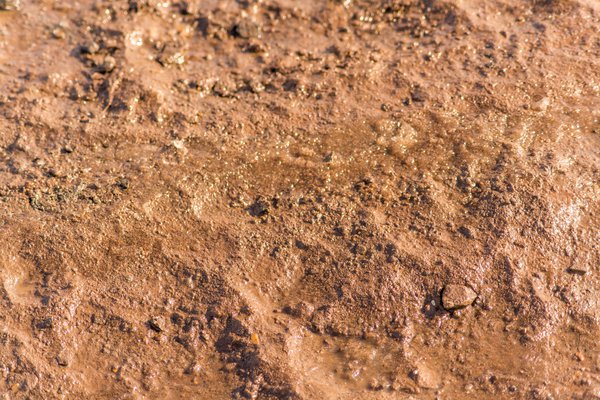 Lodo en inglés | Traductor de español a inglés - inglés.com