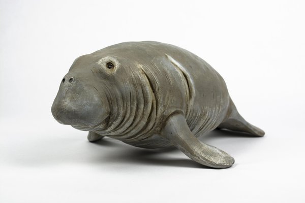 Manatú | Spanish to English Translation - SpanishDictionary.com