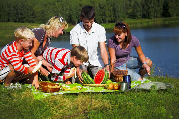 Picnic in Spanish | English to Spanish Translation - SpanishDictionary.com