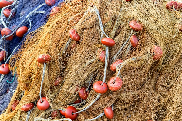 Net in Spanish | English to Spanish Translation - SpanishDictionary.com