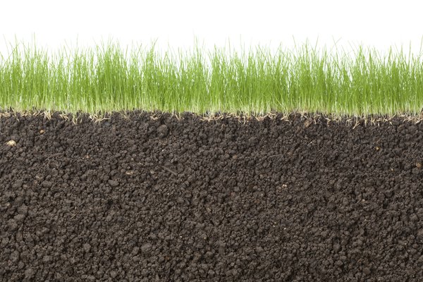 Below in Spanish | English to Spanish Translation - SpanishDictionary.com