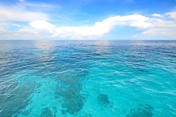 Mar en inglés | Traductor de español a inglés - inglés.com