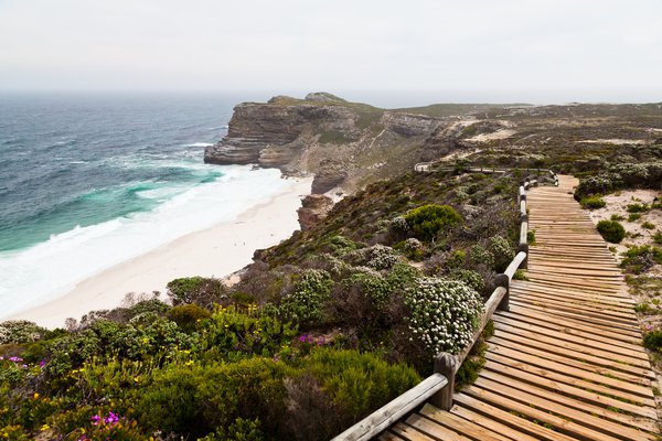 Costa | Spanish to English Translation - SpanishDictionary.com