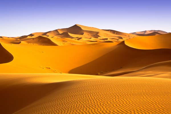 Desert in Spanish | English to Spanish Translation - SpanishDictionary.com