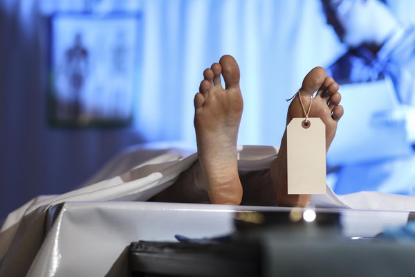 Corpse in Spanish | English to Spanish Translation - SpanishDictionary.com