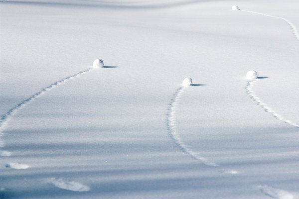 Roll in Spanish | English to Spanish Translation - SpanishDictionary.com