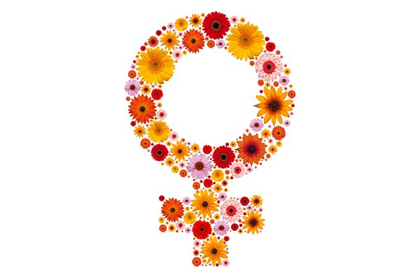 Female in Spanish | English to Spanish Translation - SpanishDictionary.com
