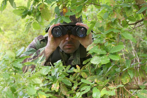 Hidden in Spanish | English to Spanish Translation - SpanishDictionary.com