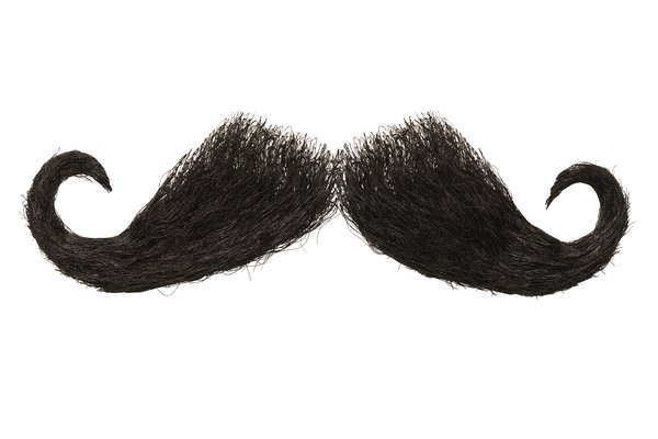 Bigote | Spanish to English Translation - SpanishDictionary.com