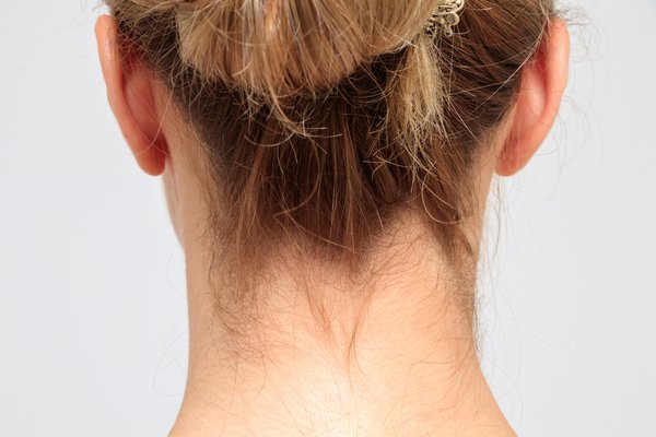 Nape in Spanish | English to Spanish Translation - SpanishDictionary.com