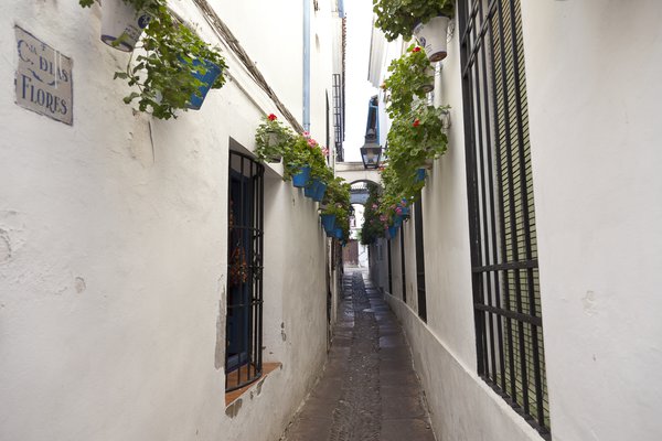 Narrower | Traductor de inglés a español - inglés.com