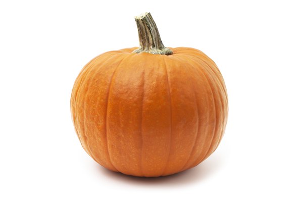 Pumpkin in Spanish | English to Spanish Translation - SpanishDictionary.com