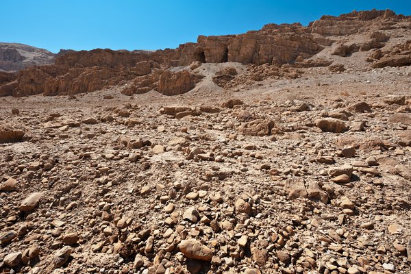 Rocky in Spanish | English to Spanish Translation - SpanishDictionary.com