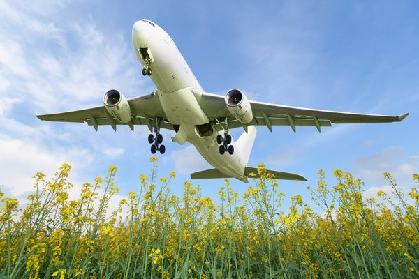 Take off | Traductor de inglés a español - inglés.com