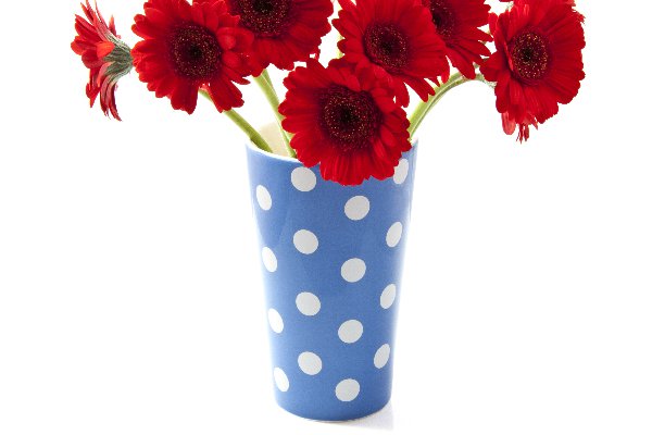 Vase in Spanish | English to Spanish Translation - SpanishDictionary.com