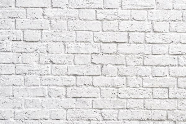 Blanco | Spanish to English Translation - SpanishDictionary.com