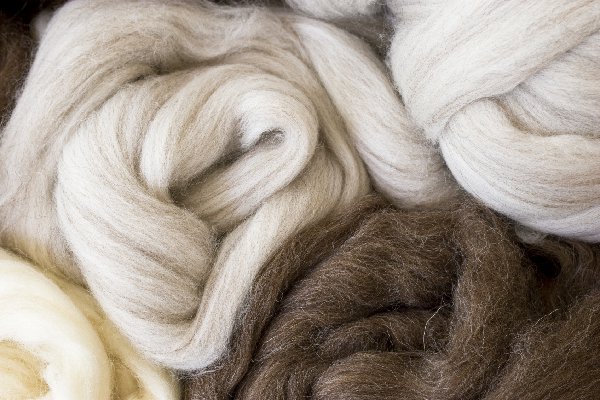 Wool | Traductor de inglés a español - inglés.com