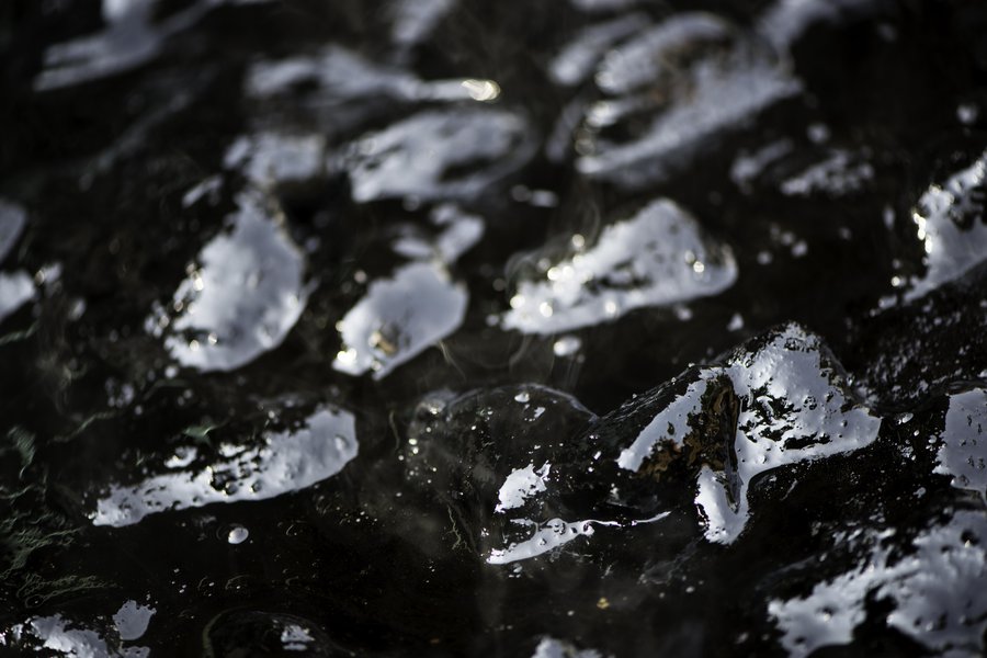 La brea | Spanish to English Translation - SpanishDictionary.com