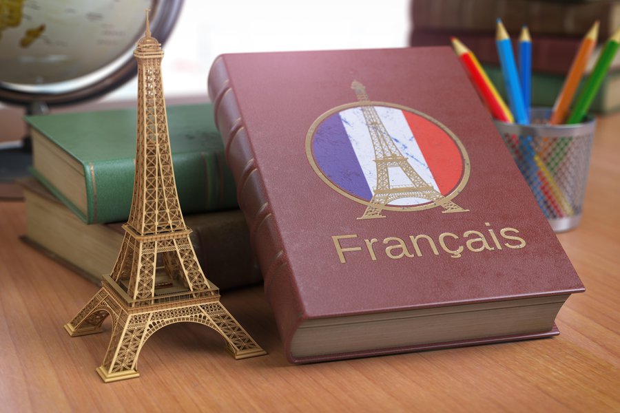 French in Spanish | English to Spanish Translation - SpanishDictionary.com