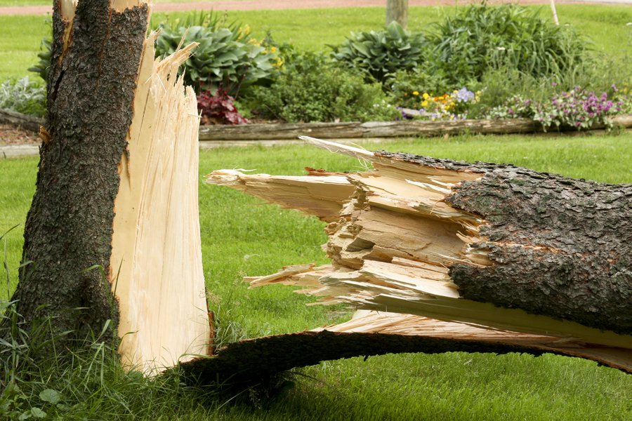 Split in Spanish | English to Spanish Translation - SpanishDictionary.com