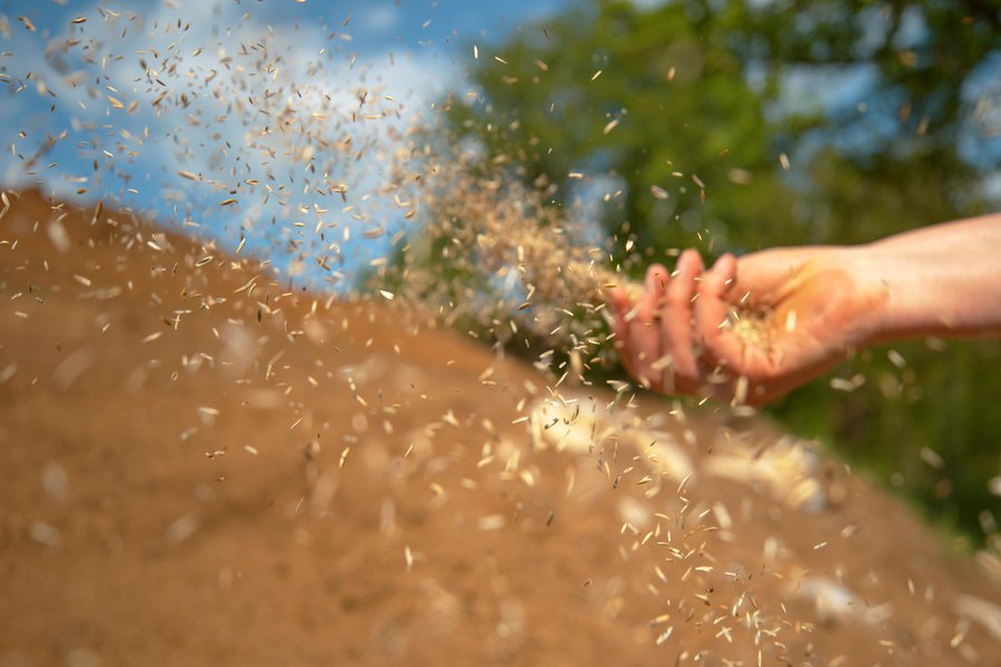 Scatter in Spanish | English to Spanish Translation - SpanishDictionary.com