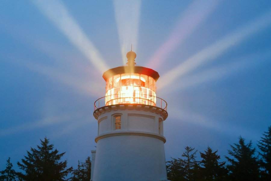 Hacho | Spanish to English Translation - SpanishDictionary.com