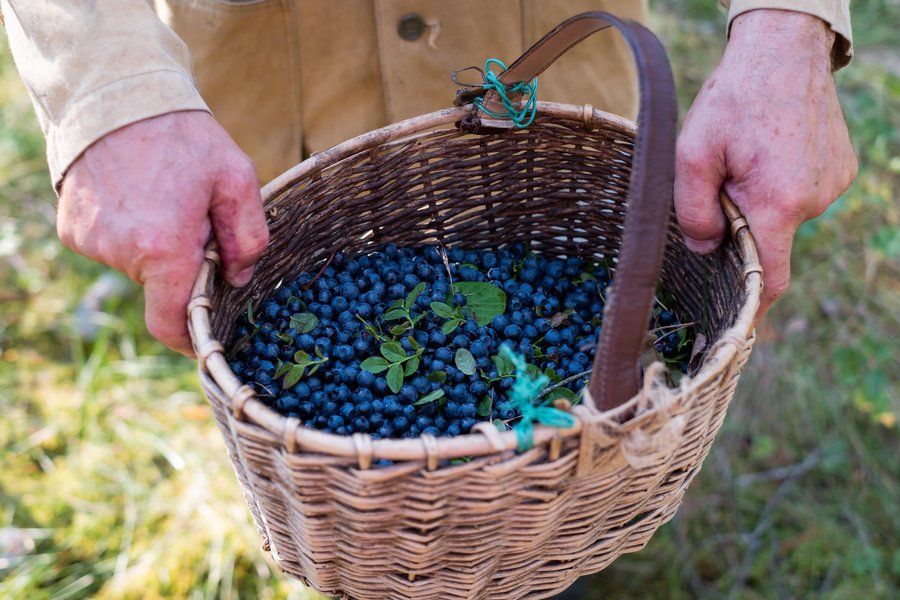 Gather in Spanish | English to Spanish Translation - SpanishDictionary.com