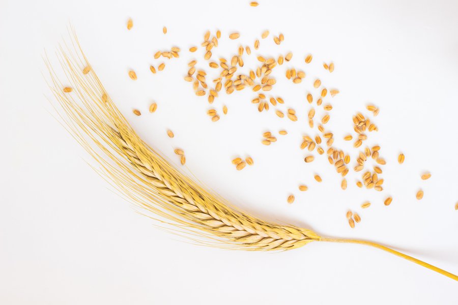 Straw in Spanish | English to Spanish Translation - SpanishDictionary.com