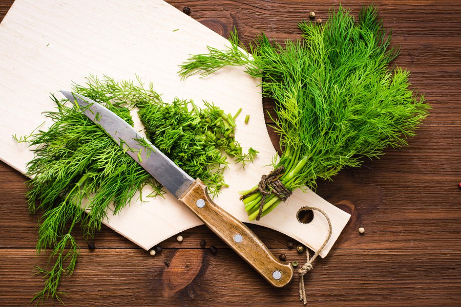 Dill in Spanish | English to Spanish Translation - SpanishDictionary.com