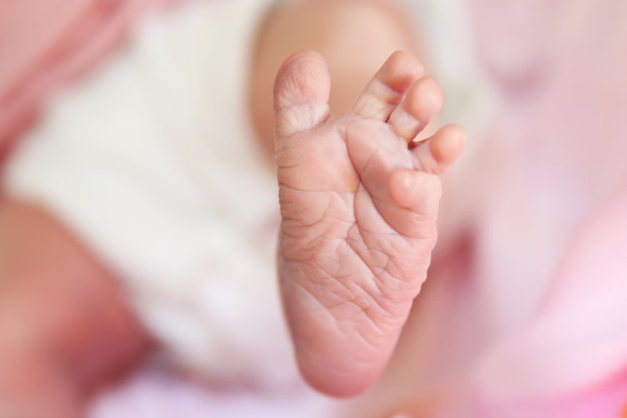 Foot in Spanish | English to Spanish Translation - SpanishDictionary.com