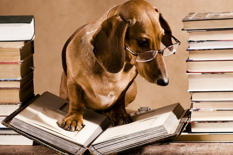 Estudiosos | Spanish to English Translation - SpanishDictionary.com