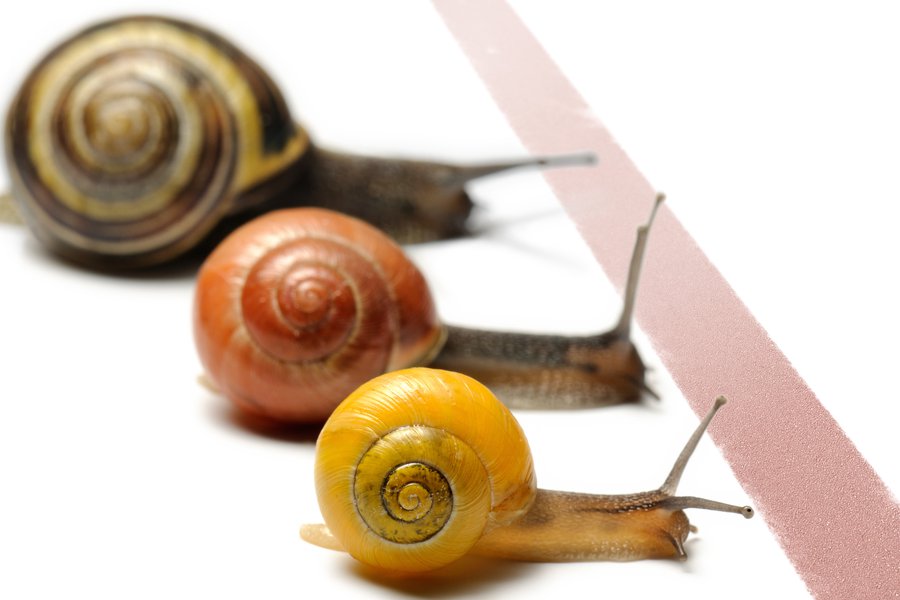 Capricho | Spanish to English Translation - SpanishDictionary.com