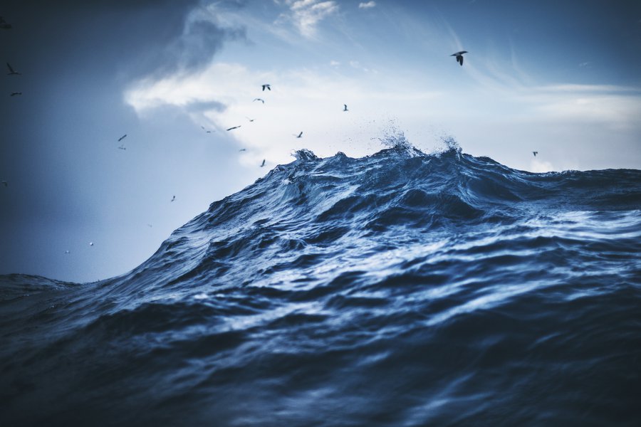 Water in Spanish | English to Spanish Translation - SpanishDictionary.com