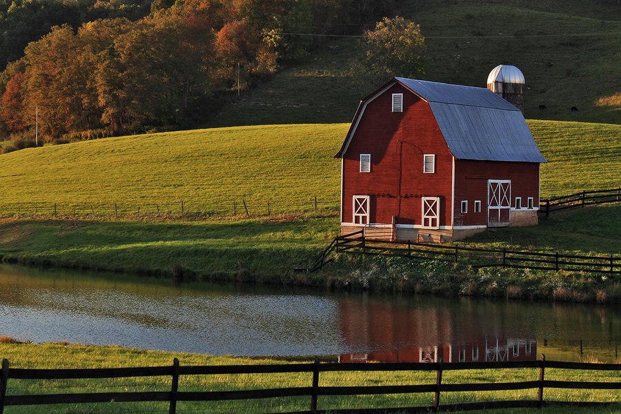 Barn in Spanish | English to Spanish Translation - SpanishDictionary.com