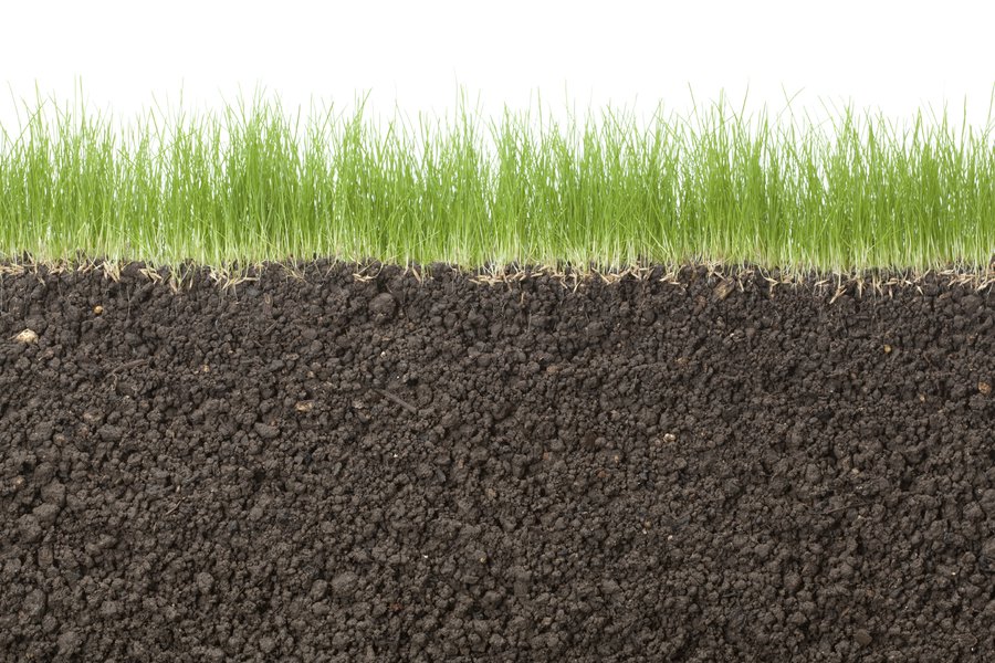 Below | Traductor de inglés a español - inglés.com