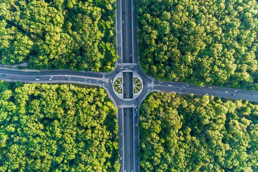 Crossing | Traductor de inglés a español - inglés.com