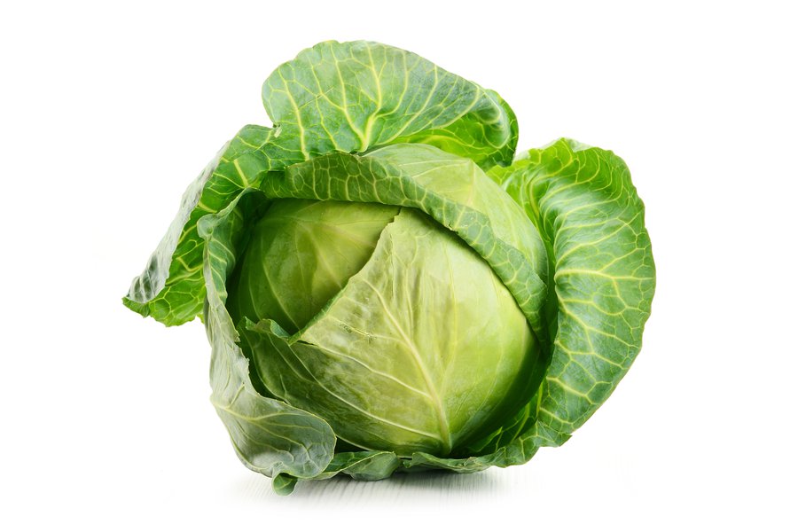 Cabbage in Spanish | English to Spanish Translation - SpanishDictionary.com