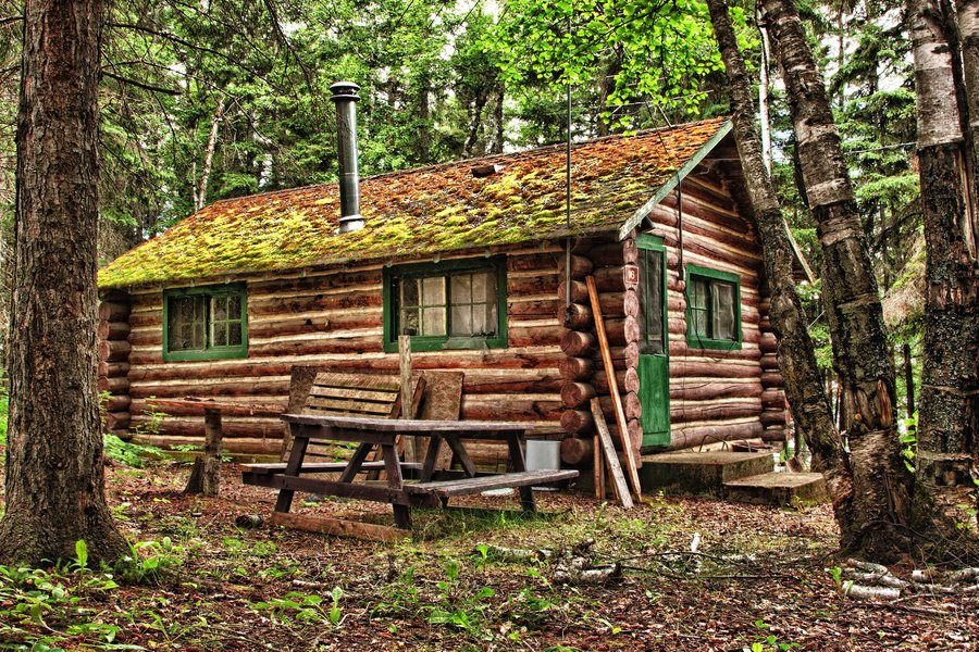 Cabin in Spanish | English to Spanish Translation - SpanishDictionary.com