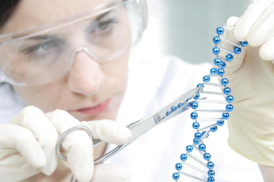 Genetic in Spanish | English to Spanish Translation - SpanishDictionary.com