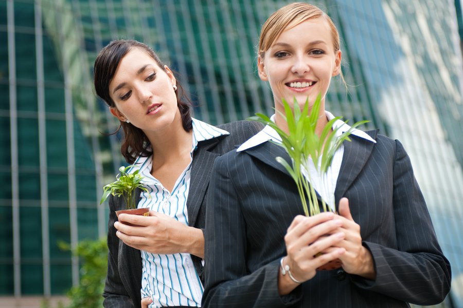 Envidia | Spanish to English Translation - SpanishDictionary.com