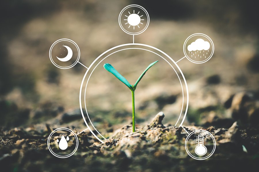 Condition | Traductor de inglés a español - inglés.com