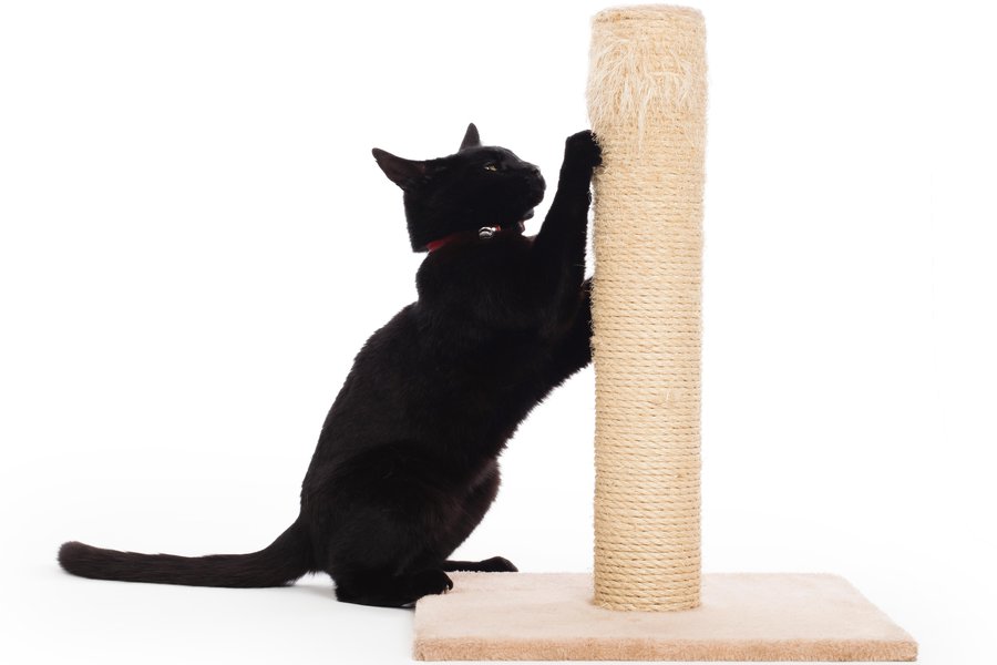 Scratch | Traductor de inglés a español - inglés.com