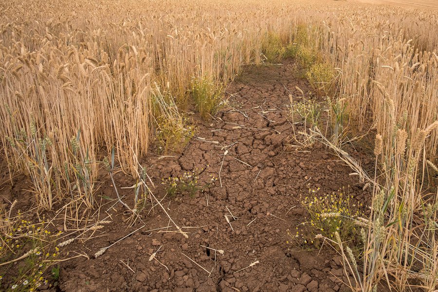 Dry season in Spanish | English to Spanish Translation ...