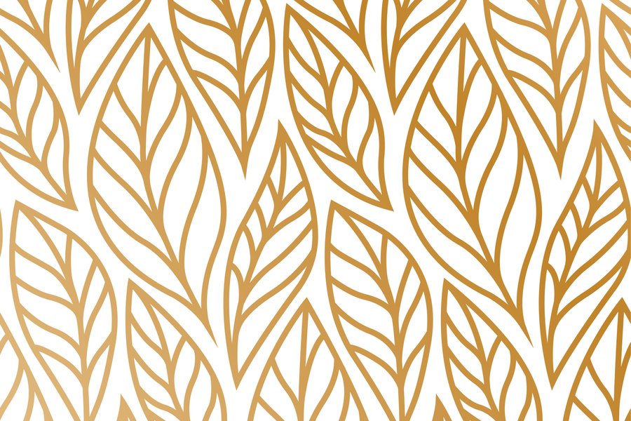 Patrón | Spanish to English Translation - SpanishDictionary.com