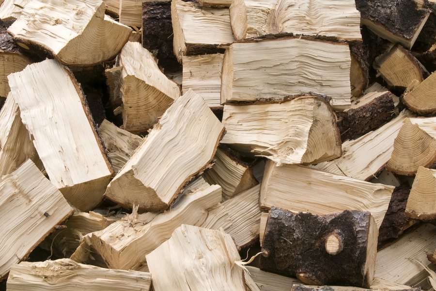 Trozo | Spanish to English Translation - SpanishDictionary.com