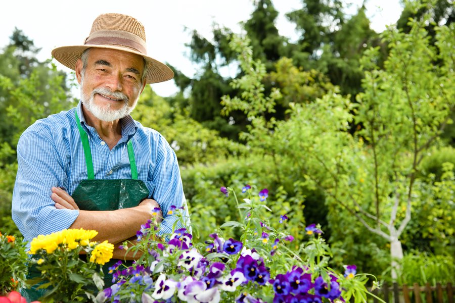 Gardener in Spanish | English to Spanish Translation ...